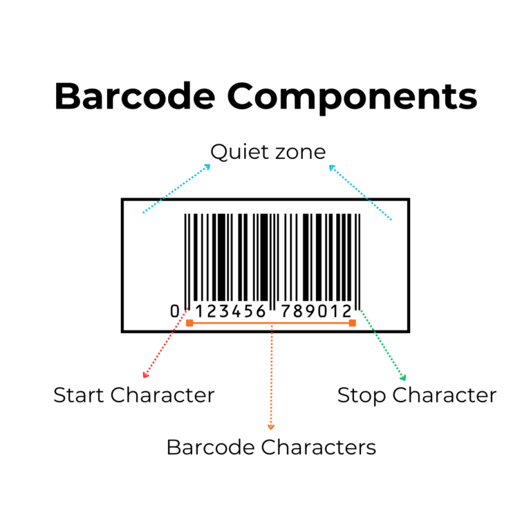 Barcodes vs Qr Codes: Differences and Future Requirements 2024