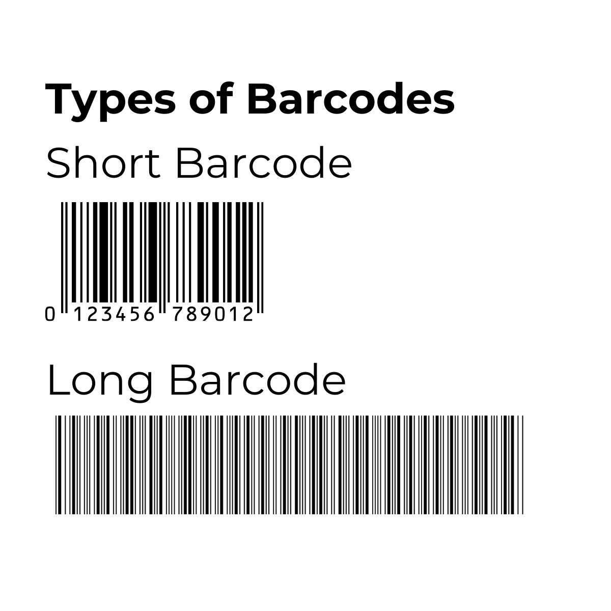 Barcodes vs Qr Codes: Differences and Future Requirements 2024 Barcodes vs Qr Codes: Differences and Future Requirements 2024