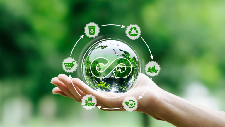 Circular Economy Action Plan 2024: New Path to Sustainability